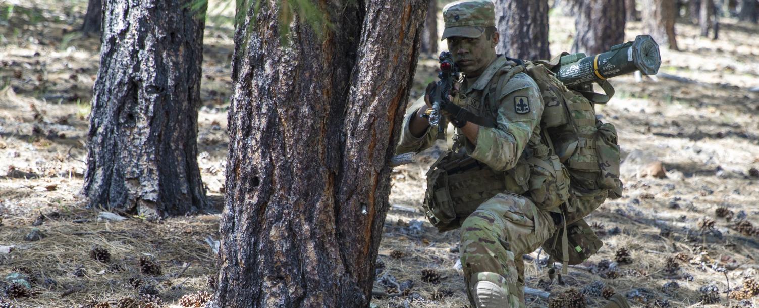 Arizona Army National Guard | Department of Emergency and Military Affairs